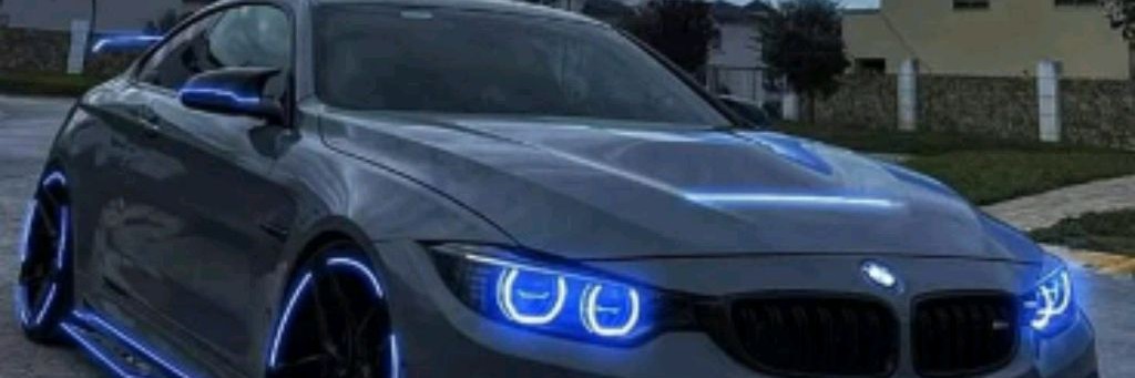 Кот Волшебник