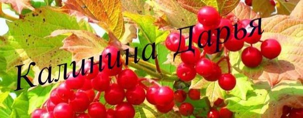 Калинина Дарья