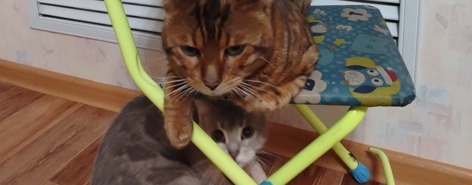 Мир вокруг меня