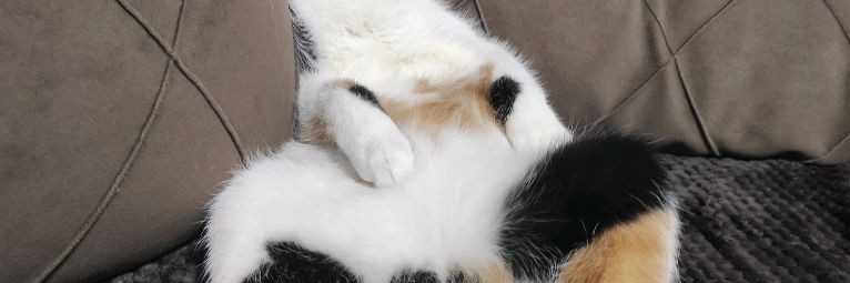 Макс И Ег Про