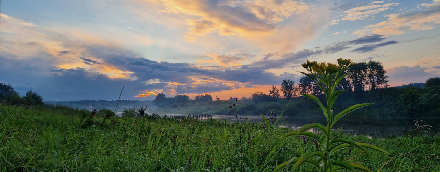 Илья Кондратов