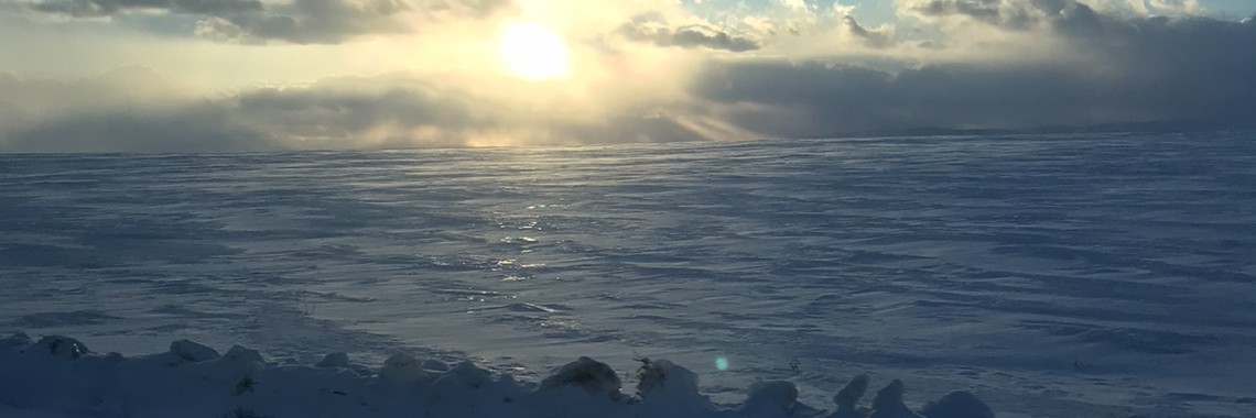 Семья Акименковых