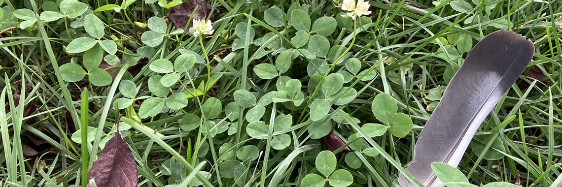 Мама, дети, юмор