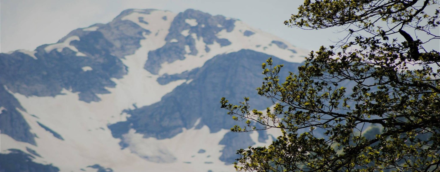 СВЕЖИЙ ВЕТЕР