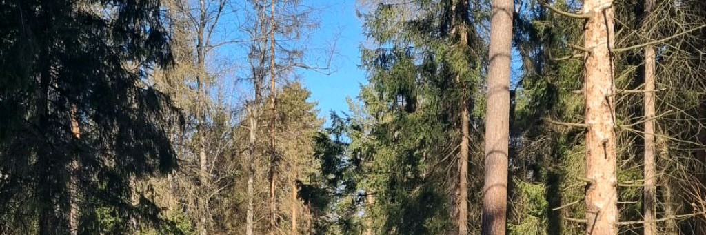 Русский Барин