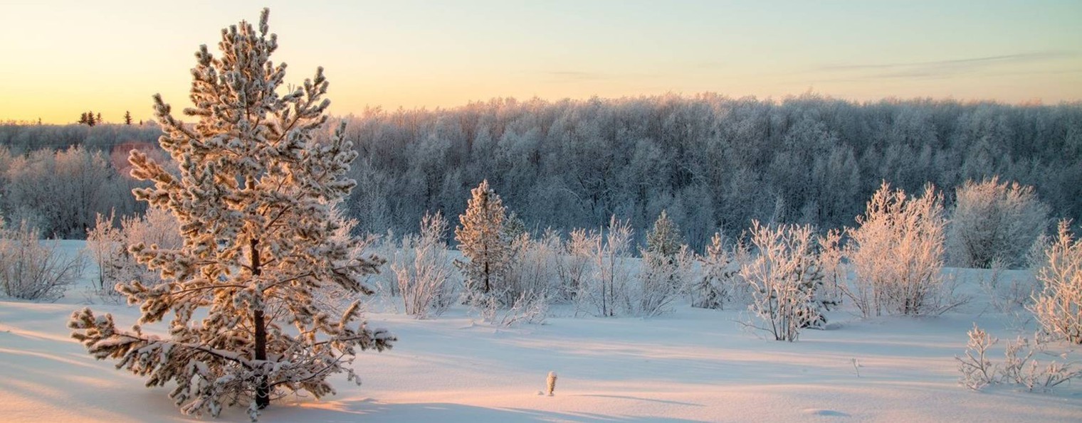 Красиво Жить Не Запретишь!