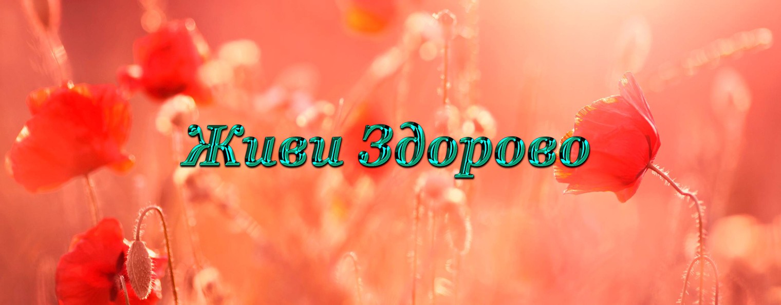 Живи Здорово