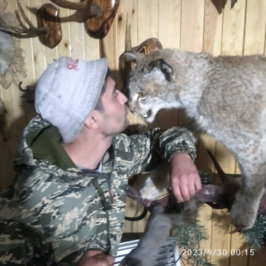 Так получилось