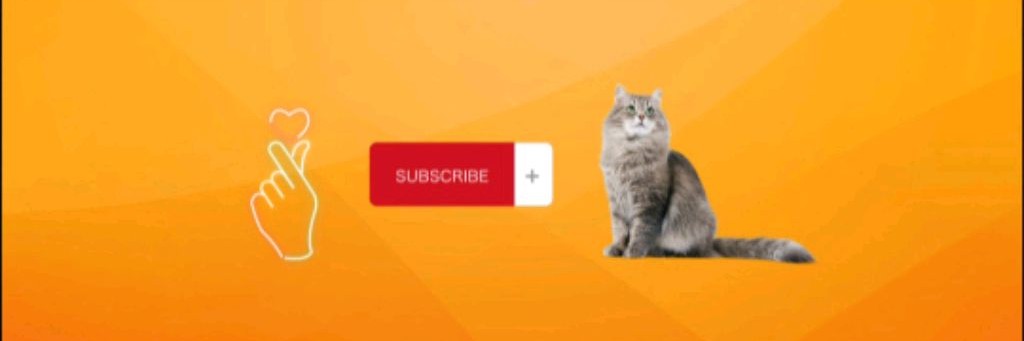 Шпиц Пушистик