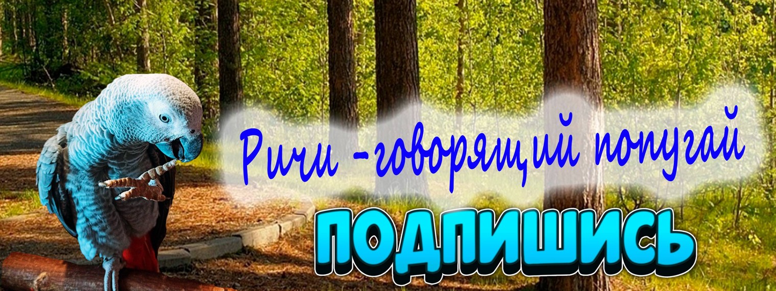 Ричка-птичка