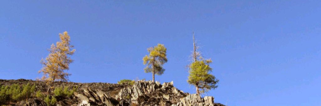 гитара дача шашлычок