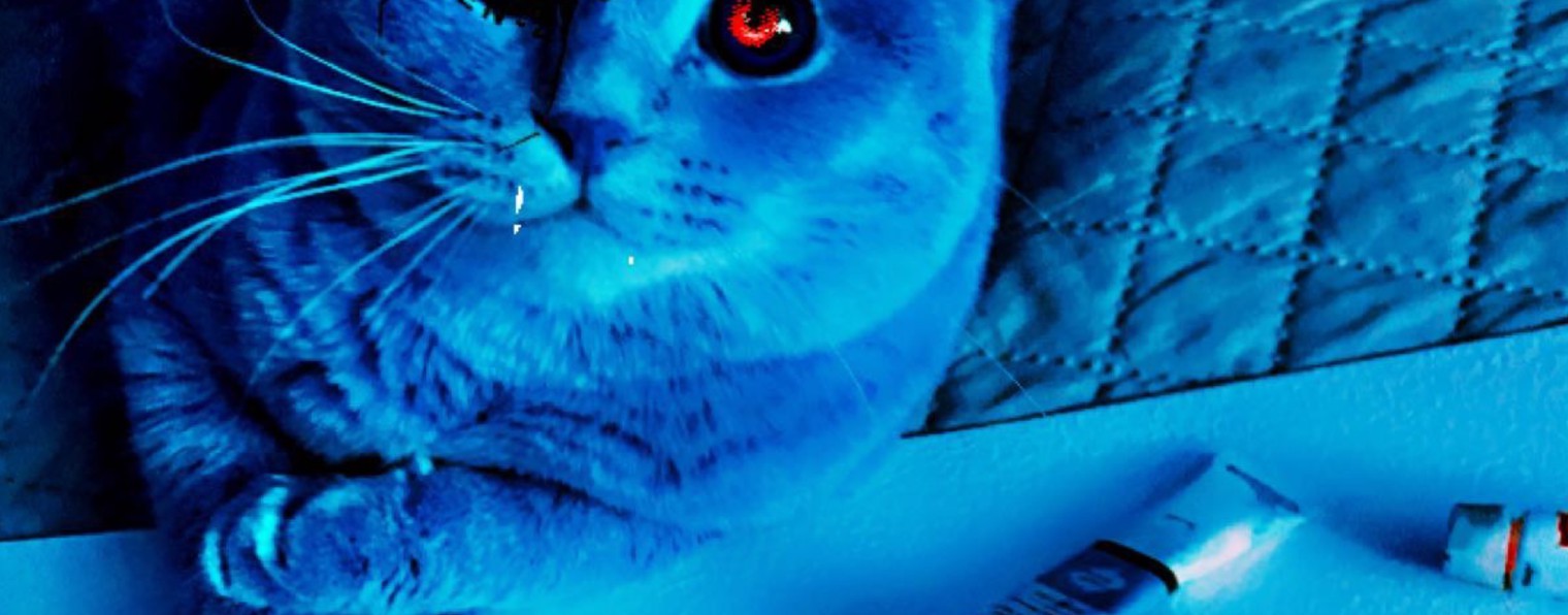 Кубик-Шмарик