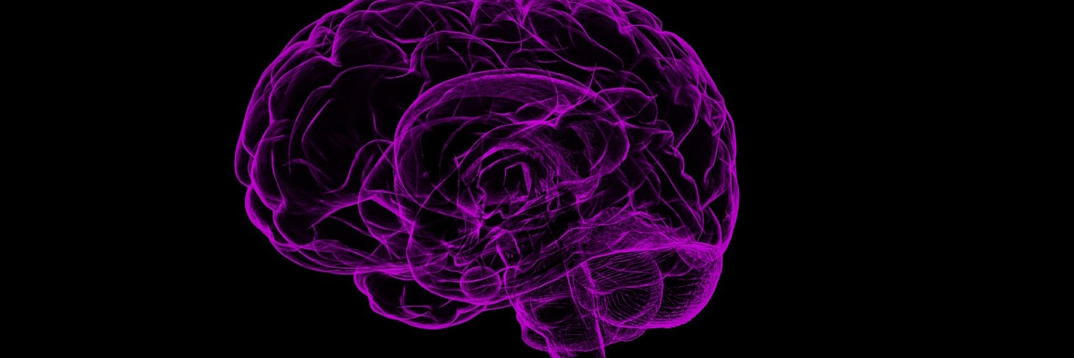 Катя | По фактам