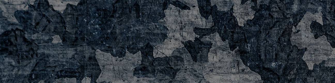 БЛАГОТВОРИТЕЛЬНЫЙ ФОНД "ЕДИНАЯ СИЛА"