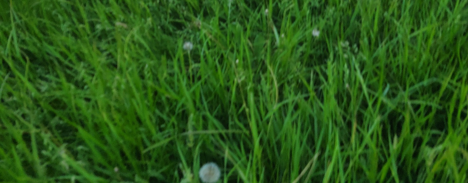 Любовь Пастухова