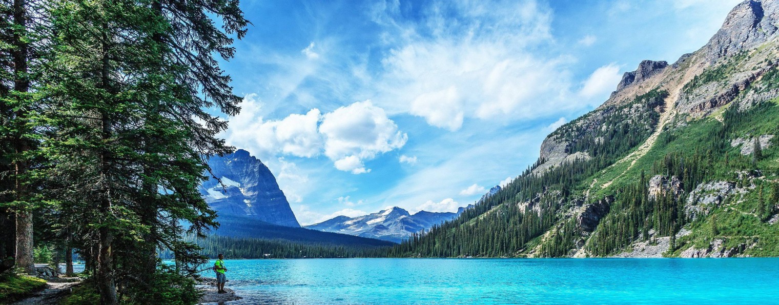 Алексей Литовченко