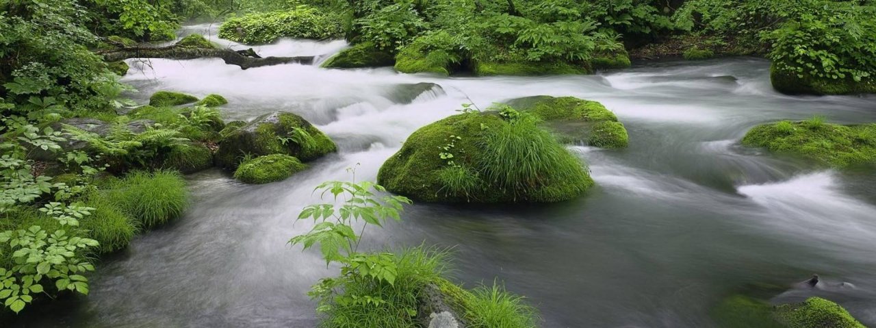 Живая Природа
