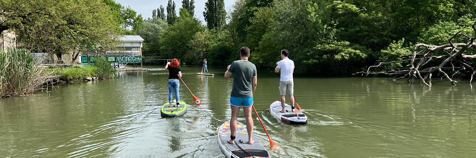 Sup прогулки Краснодар