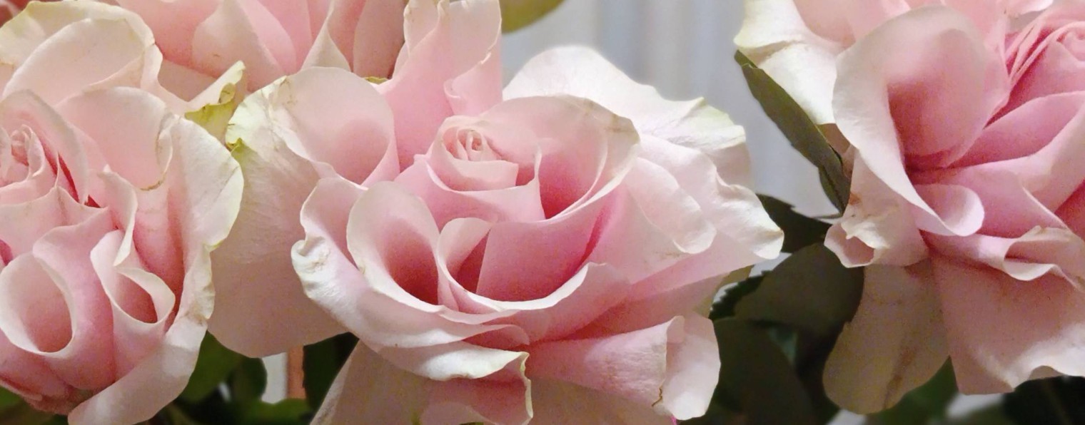 на ОК https://ok.ru/natalya.makarovayezhkova