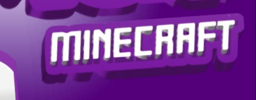 GAMER PRO