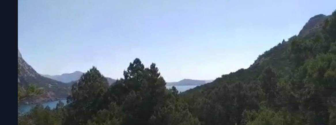 Мой Зелёный уголок.