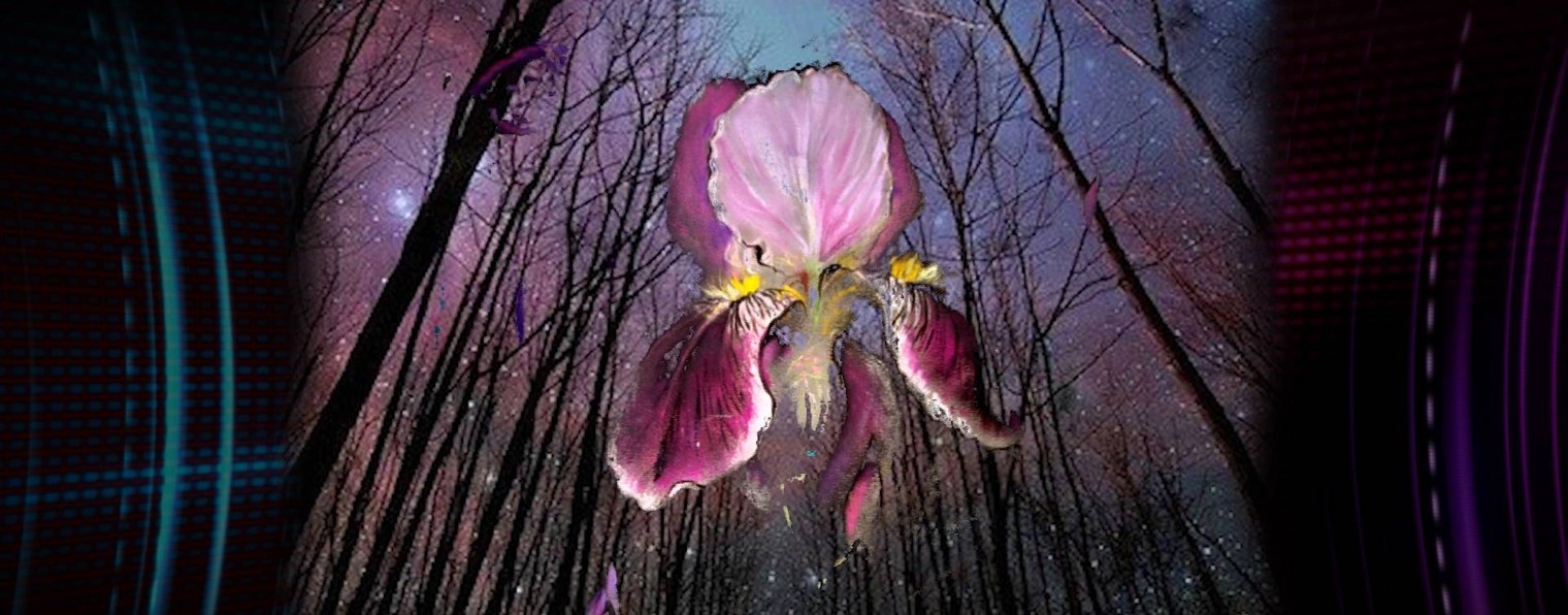 Пит Аникин.  Режиссер московского видеоарт-театра.