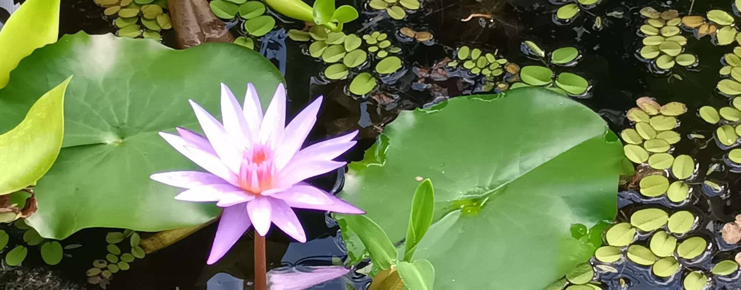 Сила звука_relax music