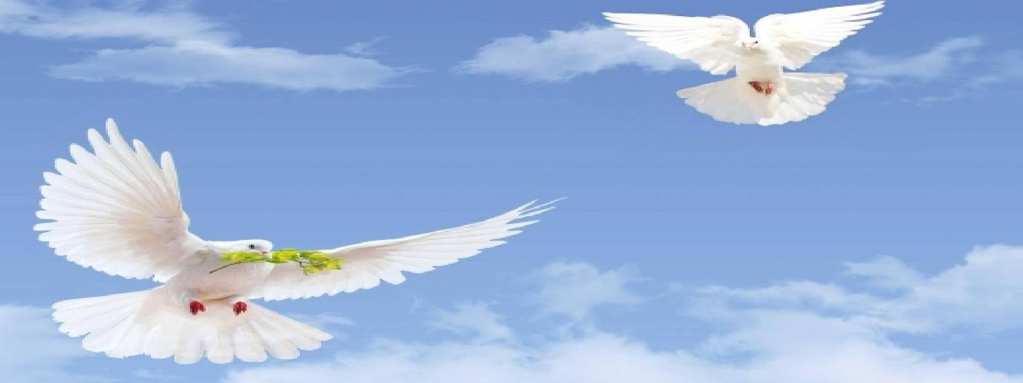 Таро Светлое будущее