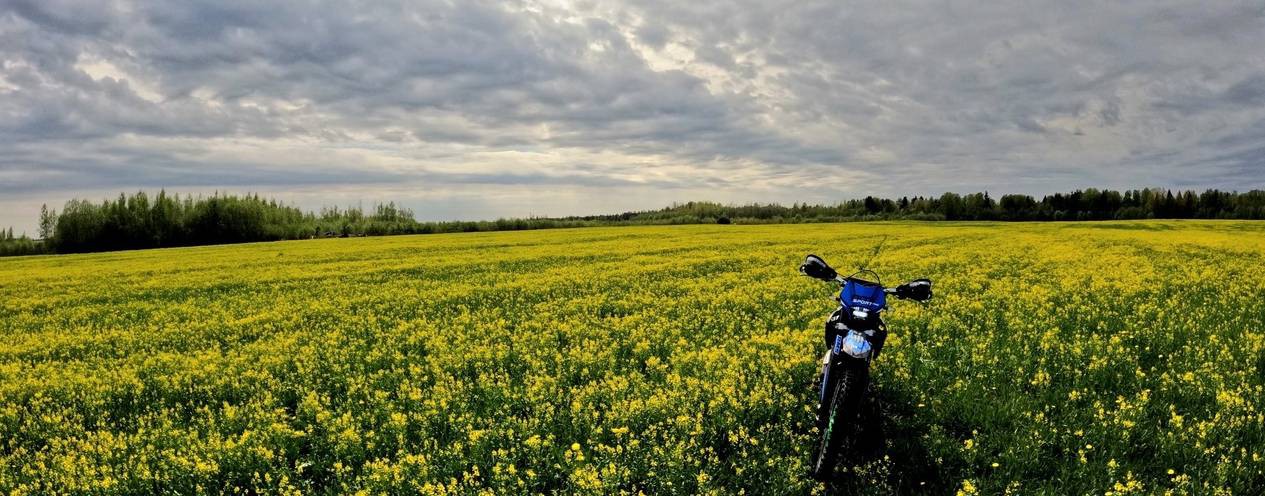 Сергей Иванов