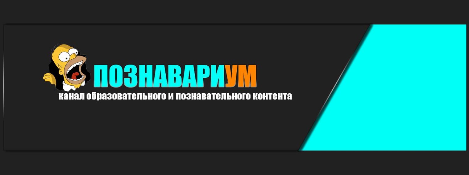 Познавариум - канал познавательного контента