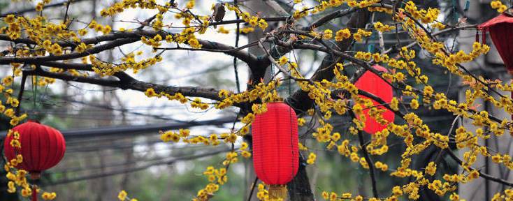 Айкидо РОИЯКС  (Shakhmatov dojo)