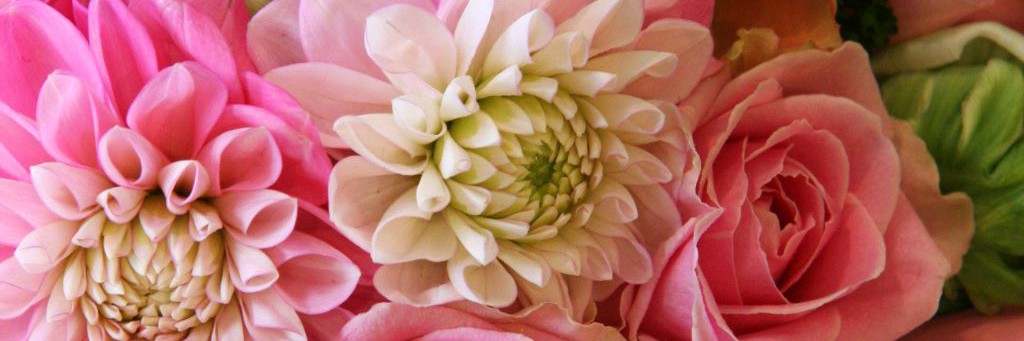 отец молодец