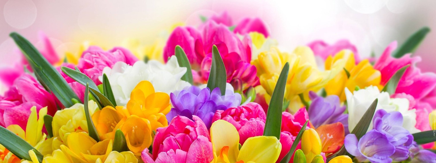 Оксана Романенко