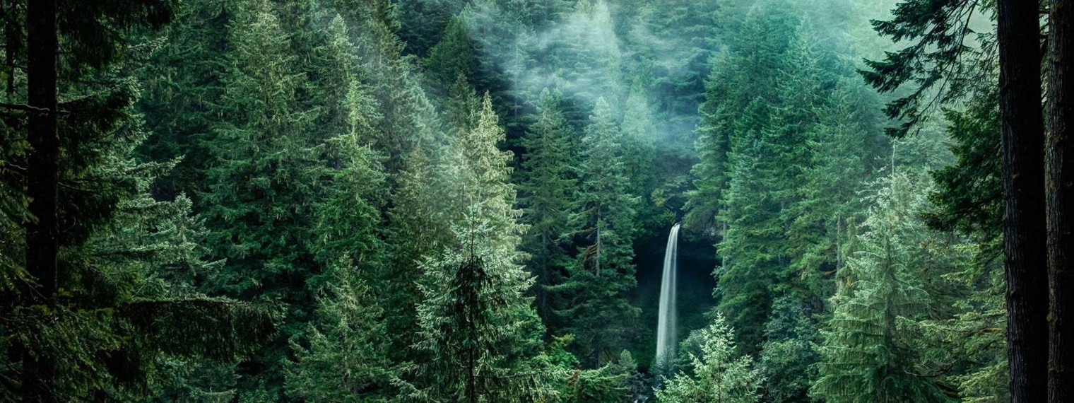 Dmitry Kravchenko Blog