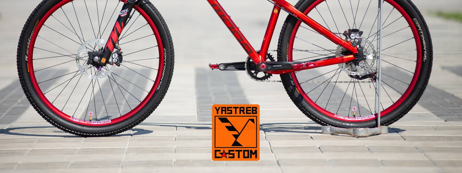 YASTREB CASTOM