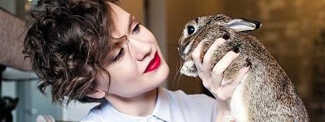 БУМАЖНЫЕ КОРАБЛИ. Каталог образов