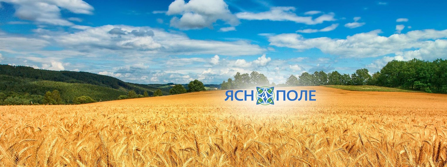ЯСНаПоле. Духовный рост