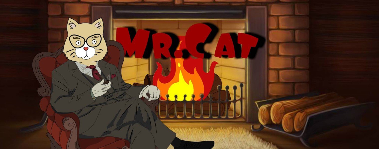 Mr.Cat