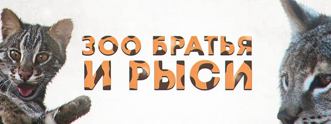 Зooбратья и Рыси