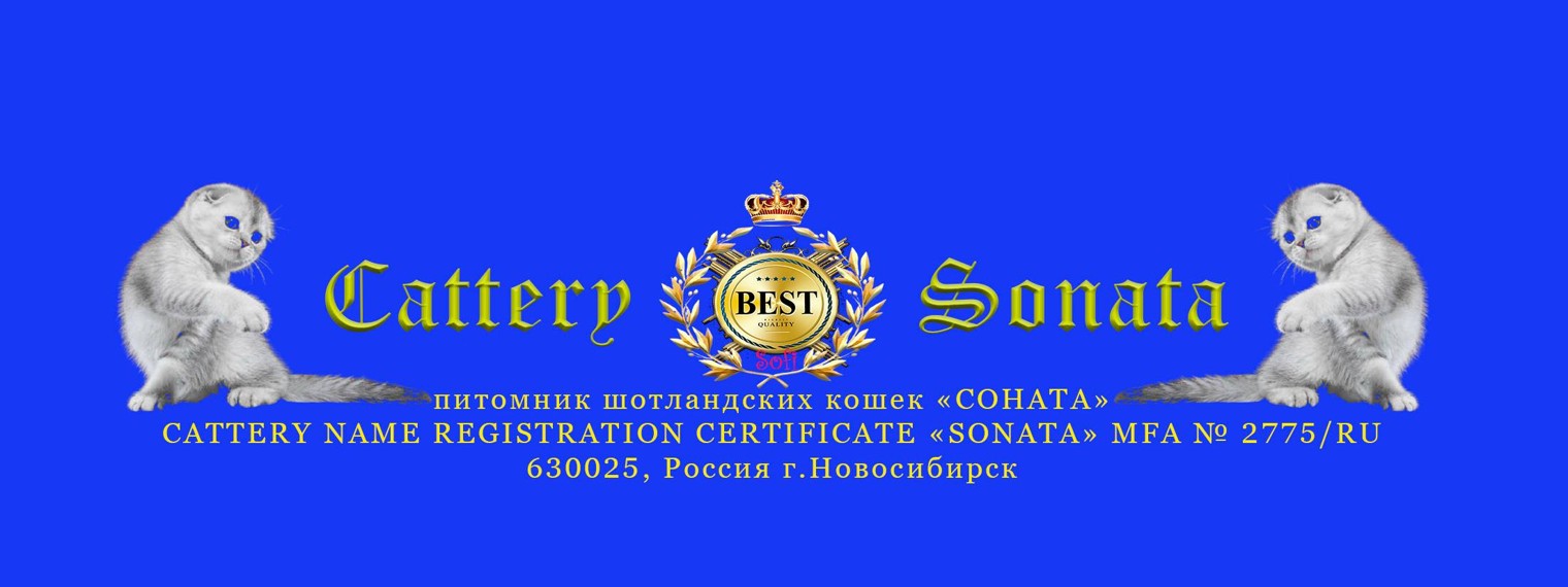 Cattery Sonata