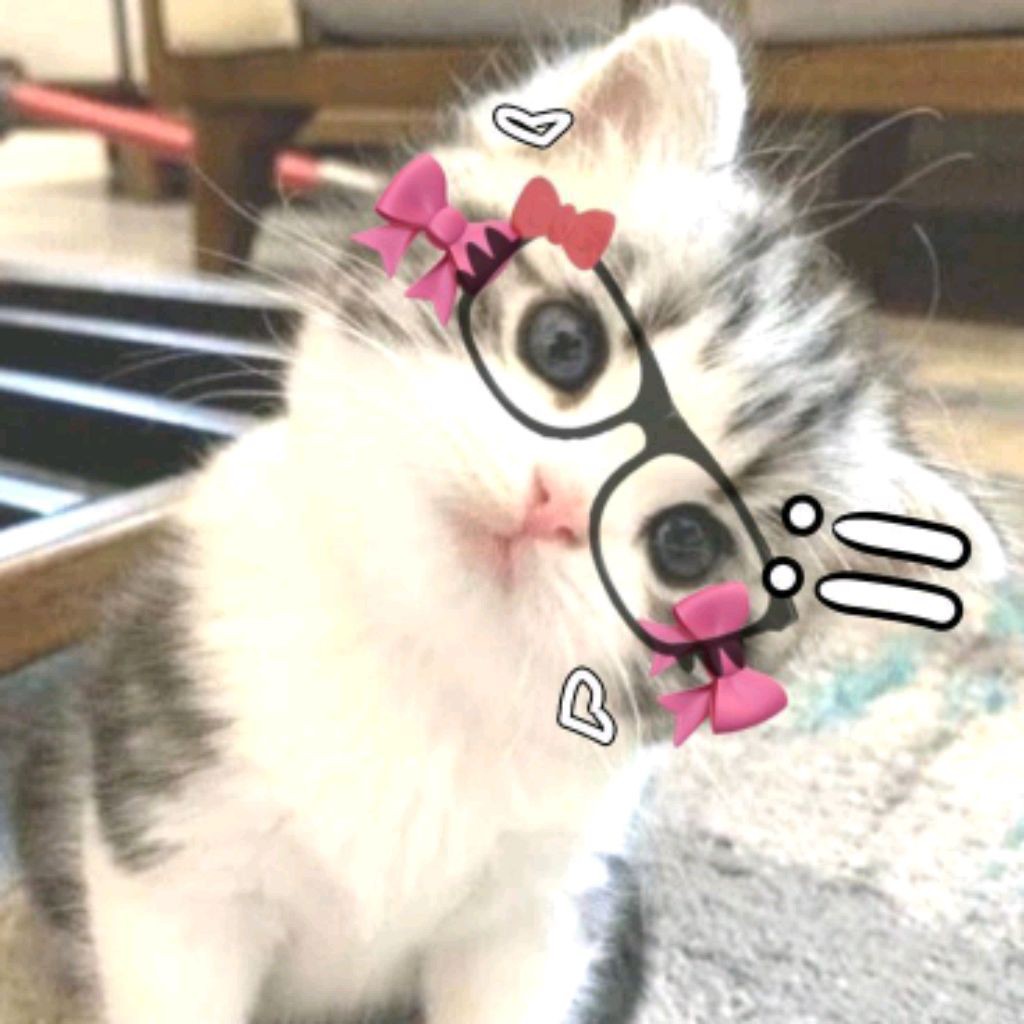 Милочка 💗
