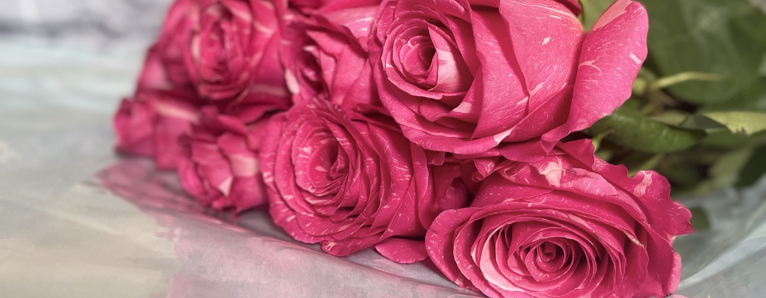 SG.MOROSHKA МОРОШКА БИЗНЕС NL