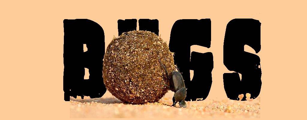 BUGS