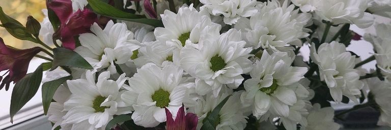 Ксения Хромова