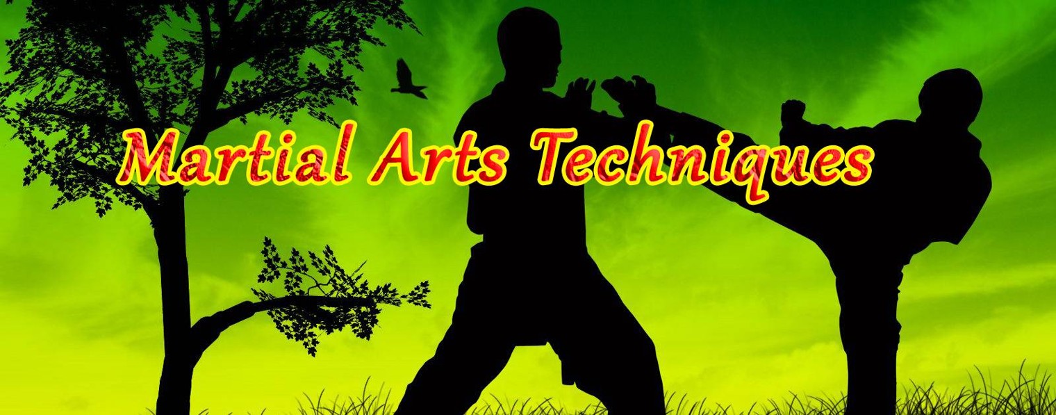 Martial Arts Techniques