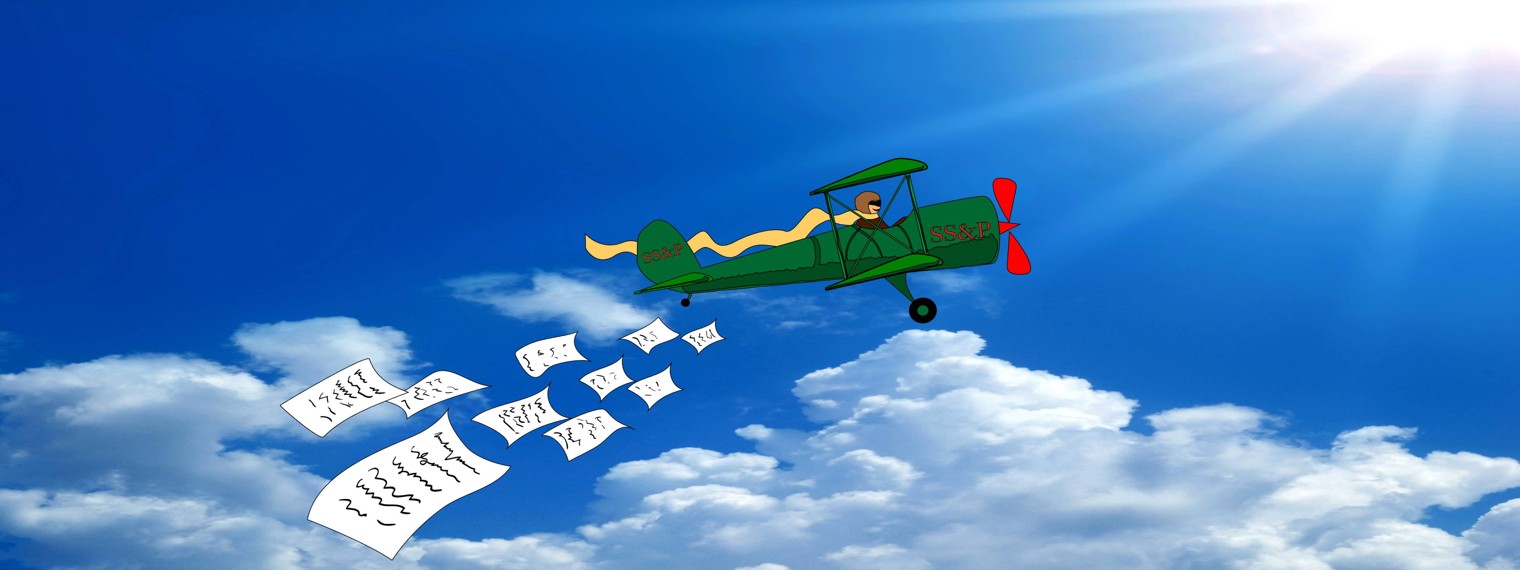 Аудиторская фирма  "Шевченко Шмелёва и Консалтинг"