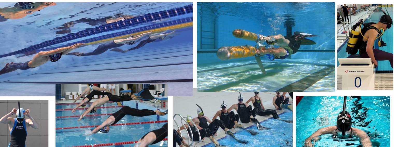 Подводный спорт  Красноярского края