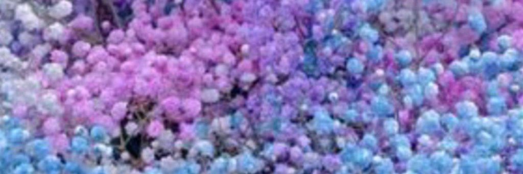 ★𝕾𝖆𝖍𝖘𝖎𝖐𝖘★