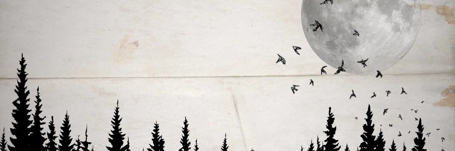 МЕТЛА | broomstick_ru