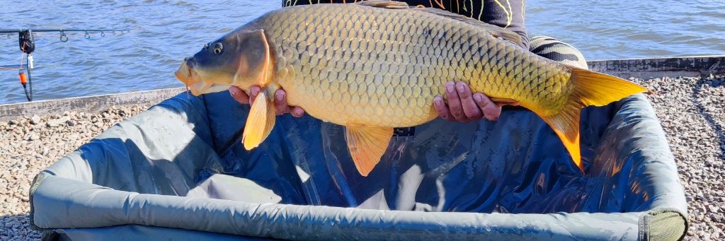 Fishing Live31
